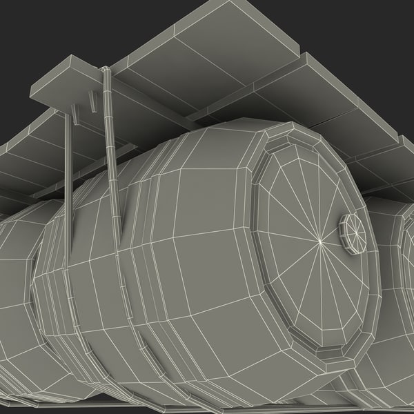 raft modelled contains 3d model