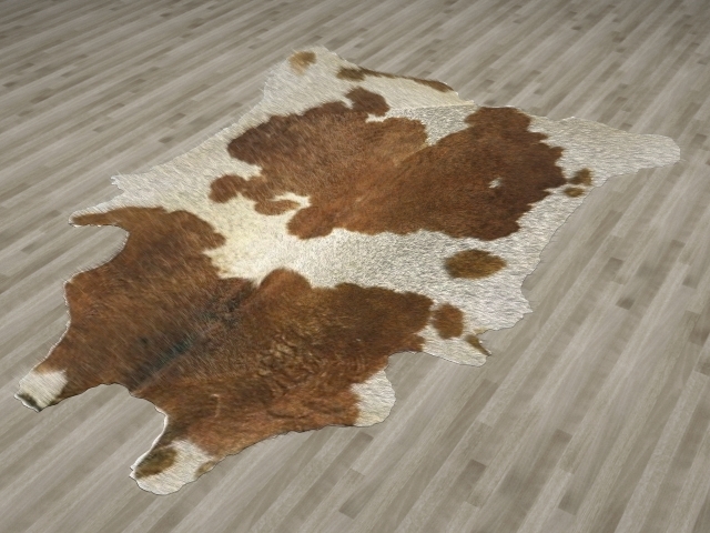fur rug skin 3d model