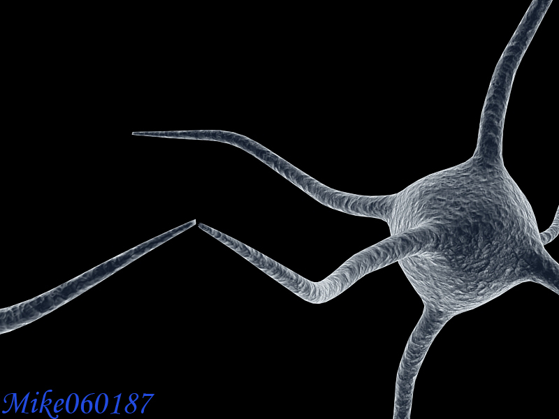 max nano cell nanocel