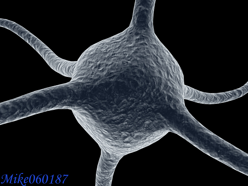 max nano cell nanocel
