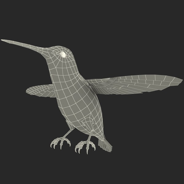 hummingbird rigged 3d model