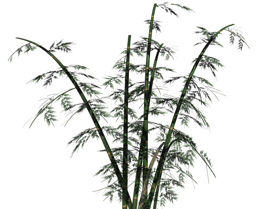 Low Poly Bamboo 3D Models for Download | TurboSquid