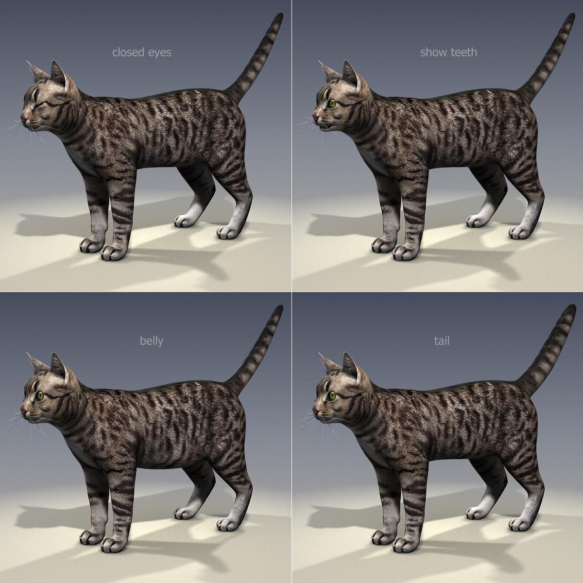 cat feline obj
