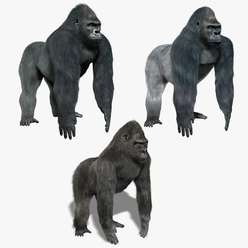 obj gorillas fur