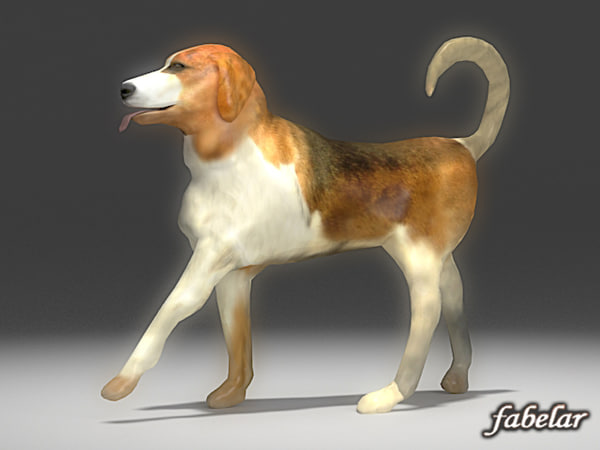 modelo 3d Beagle - TurboSquid 597494