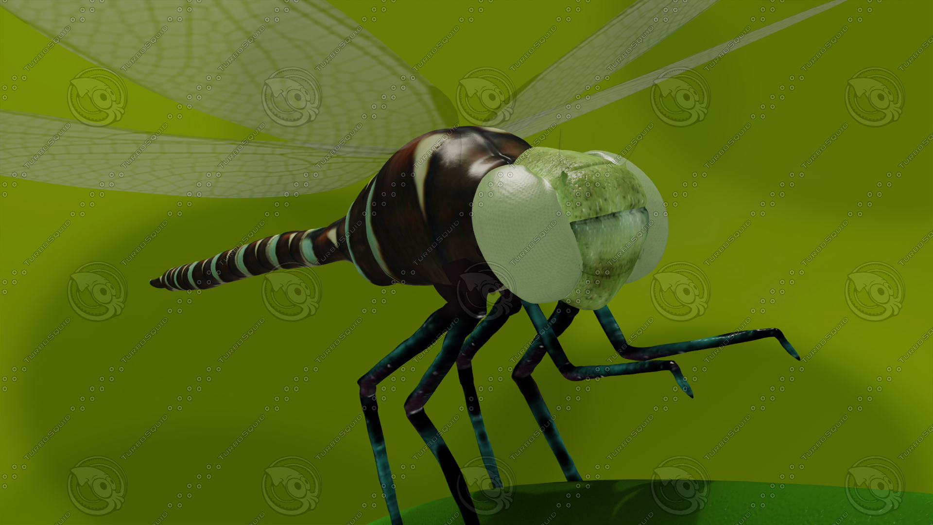 3d model photo realistic dragonfly