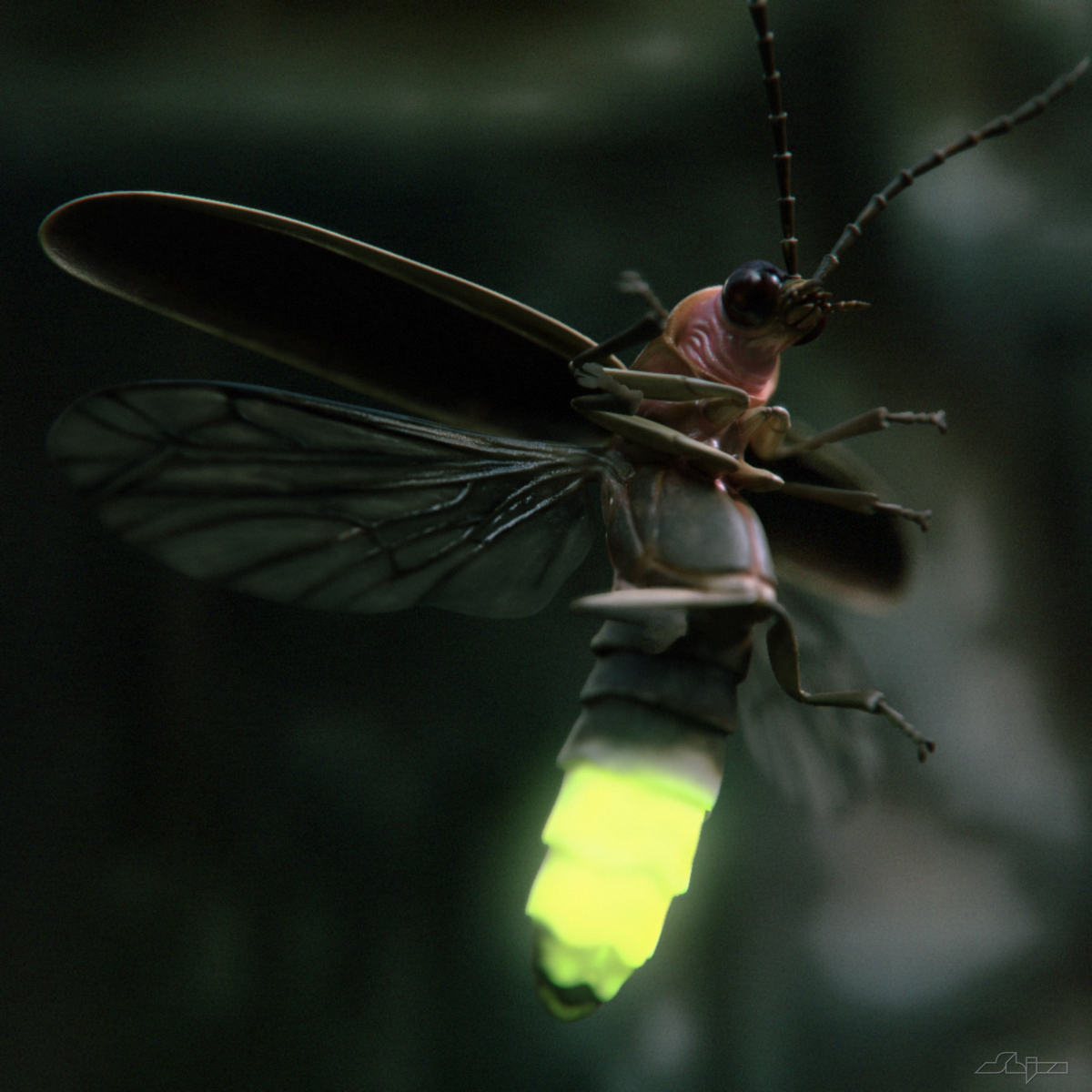 firefly bug rigged bones max