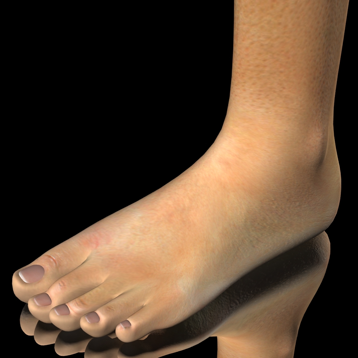 realistic female leg 3d model