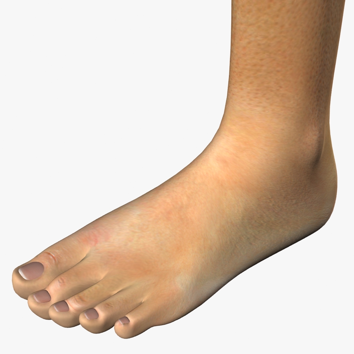 realistic female leg 3d model