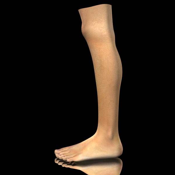 realistic female leg 3d model