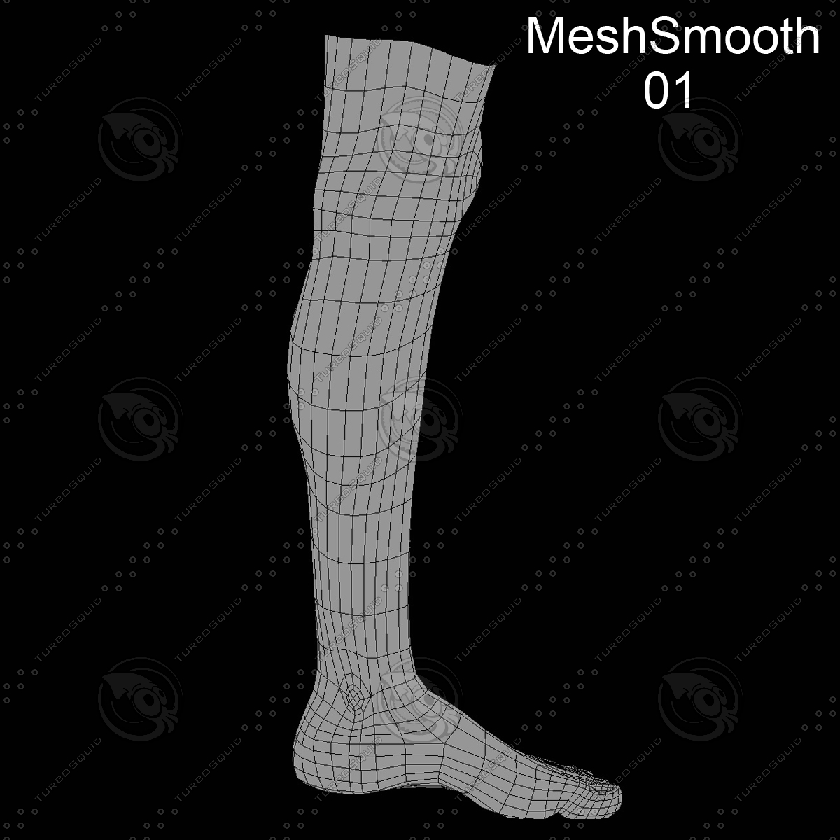 realistic female leg 3d model