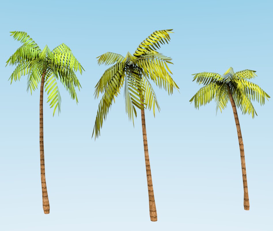 3d model palm trees
