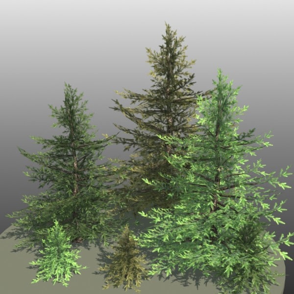 pine tree 3d 3ds