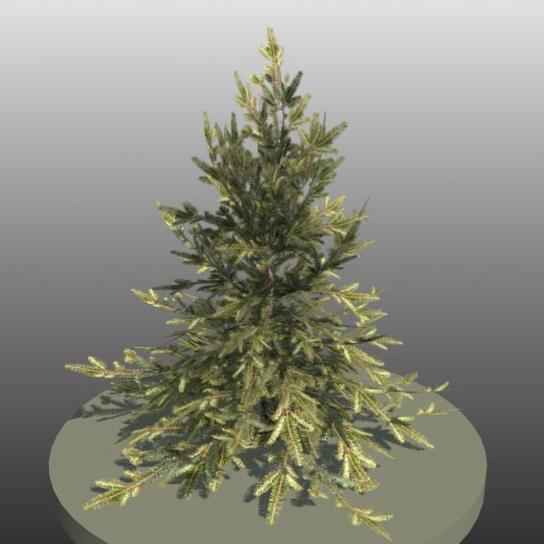 pine tree 3d 3ds