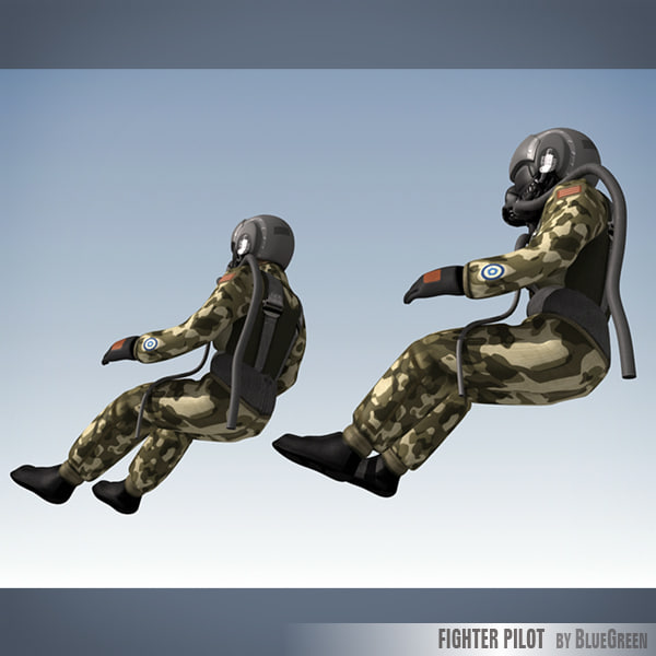 fighter pilot 3d model