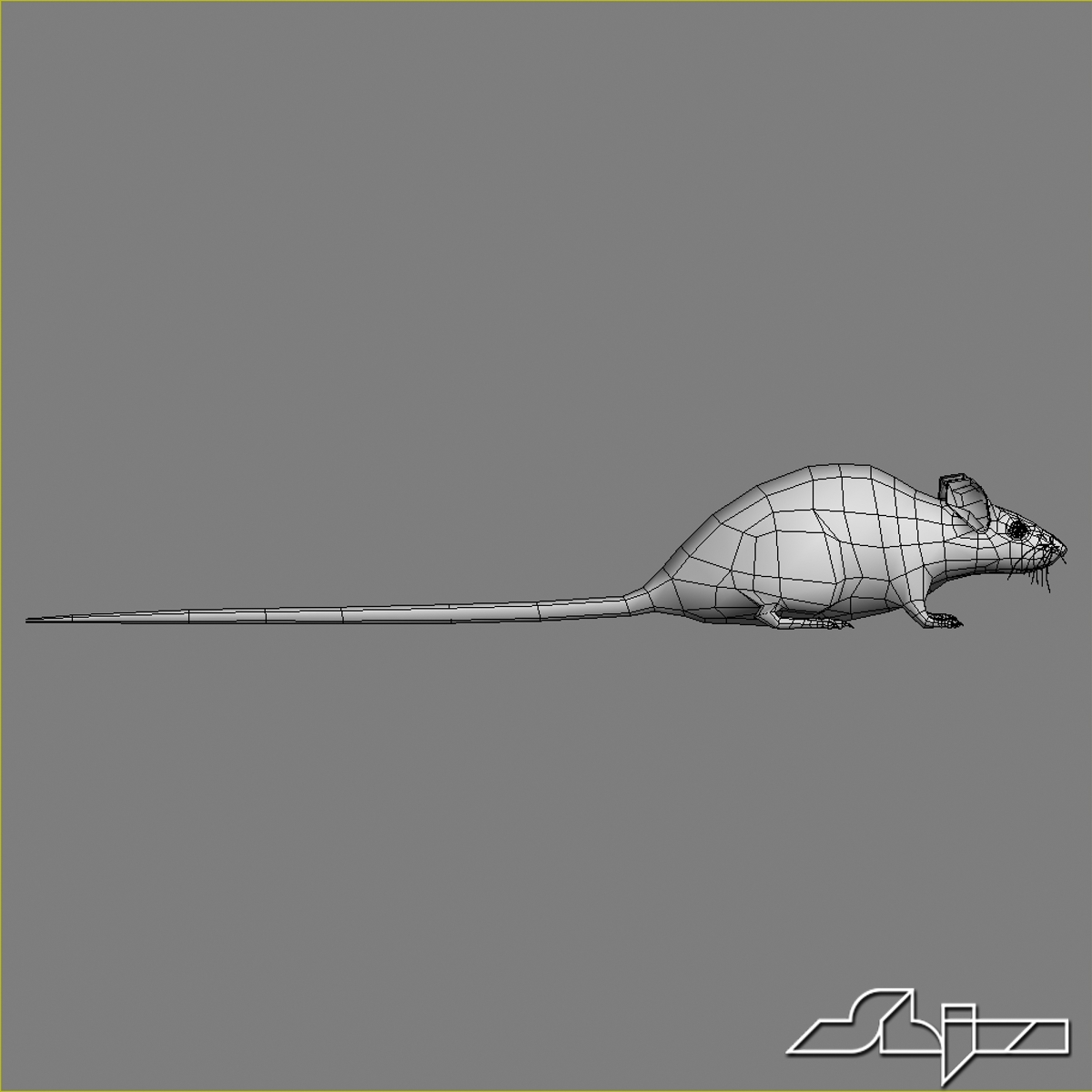 little white mouse 3d model