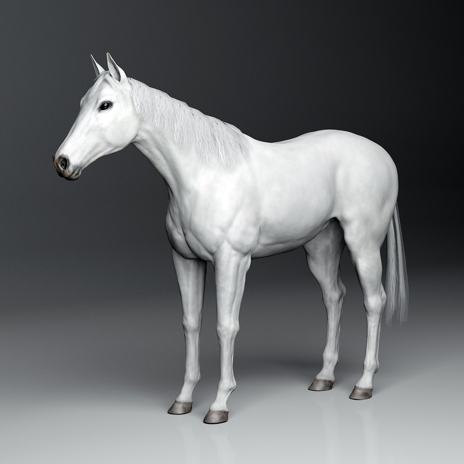 3d realistic horse games model