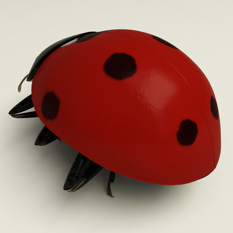 ladybug poses 3d max