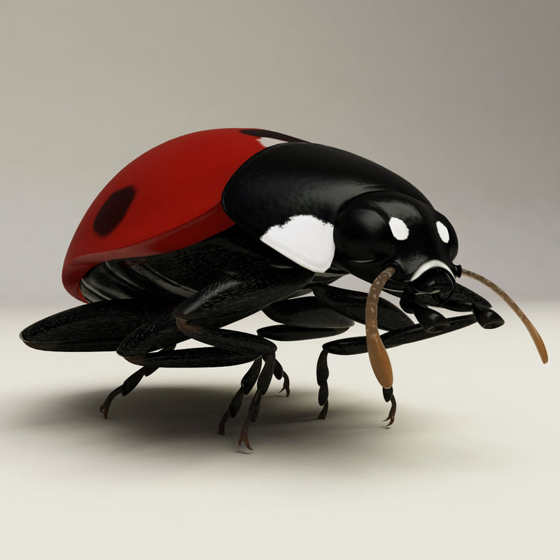 ladybug poses 3d max