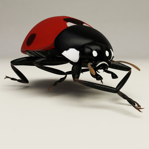 ladybug poses 3d max