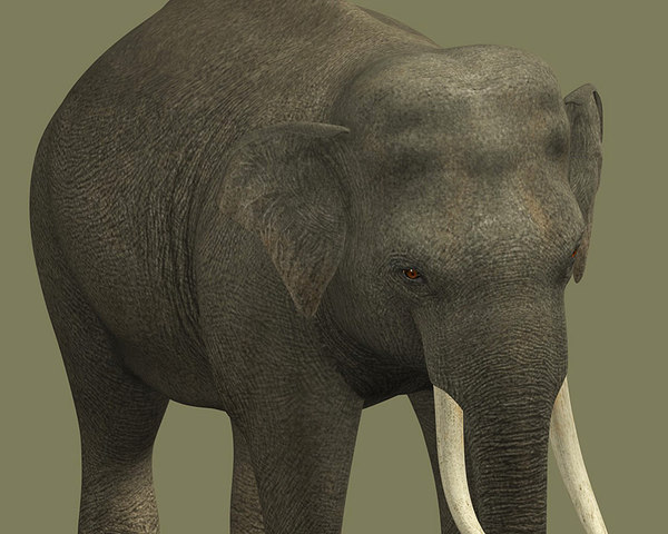 obj elephant-g elephant