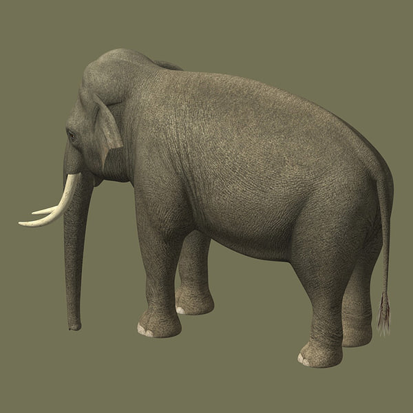 obj elephant-g elephant