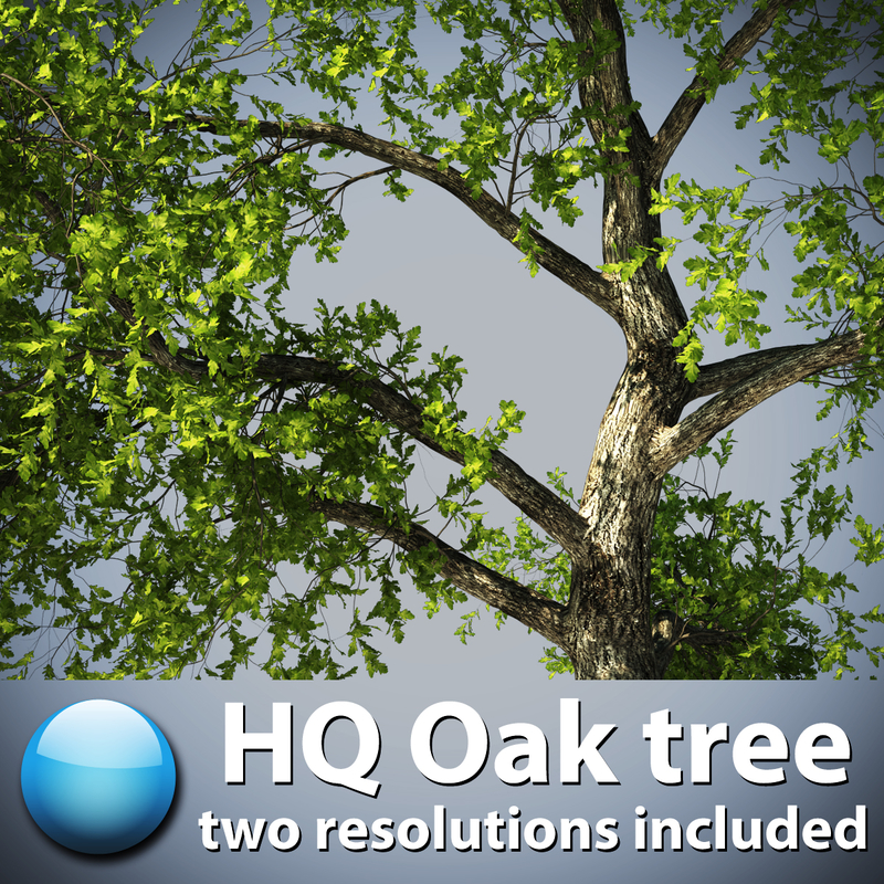 3d model oak tree hq
