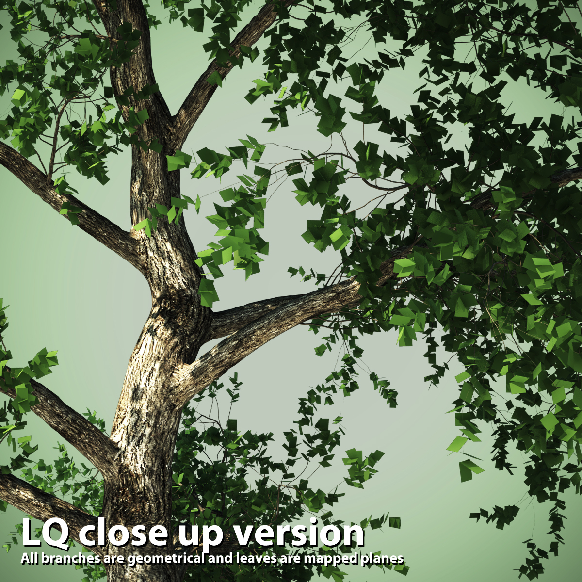 3d model oak tree hq