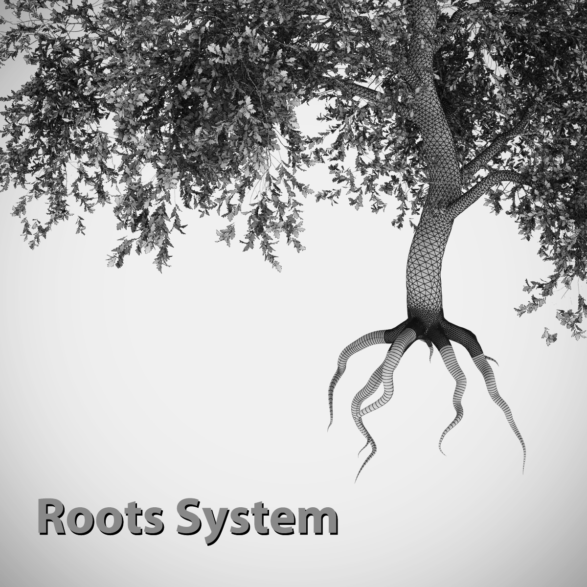 3d model oak tree hq