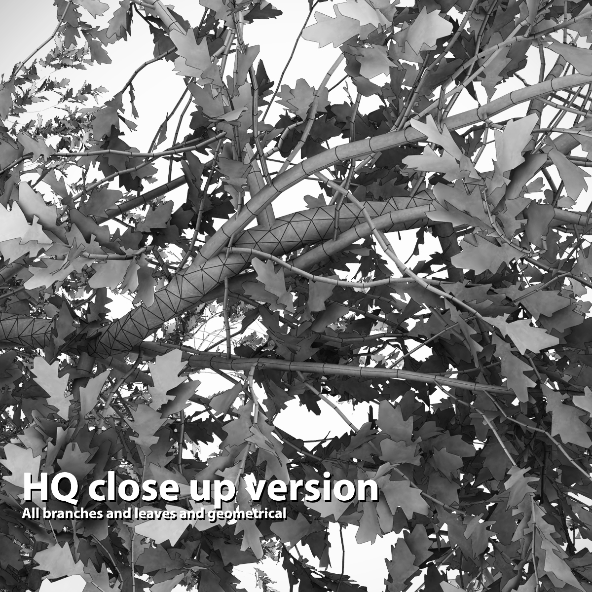 3d model oak tree hq