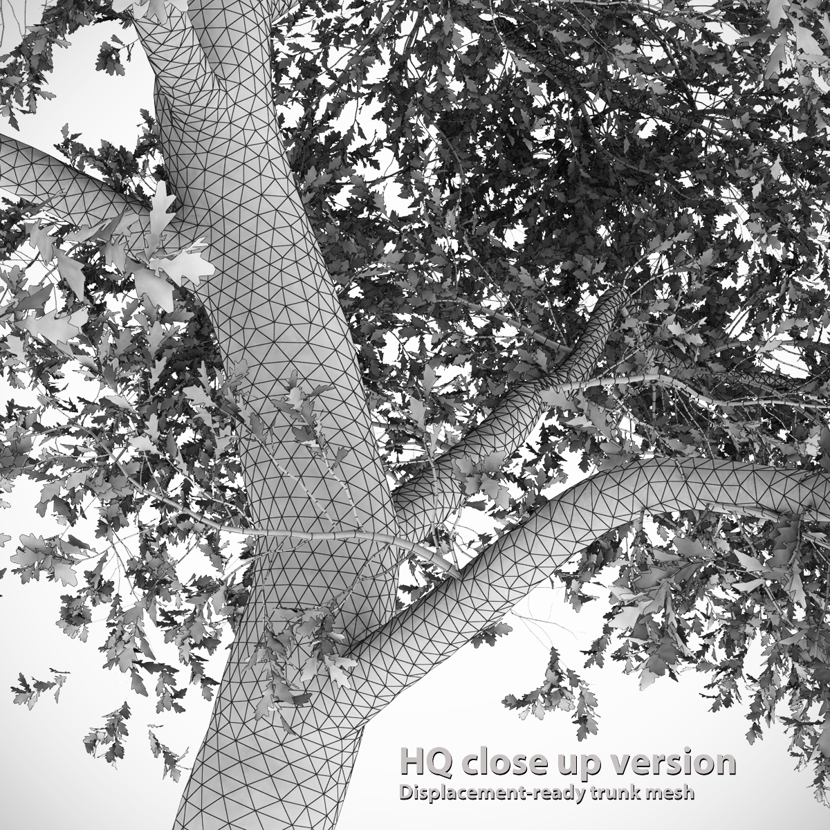 3d model oak tree hq