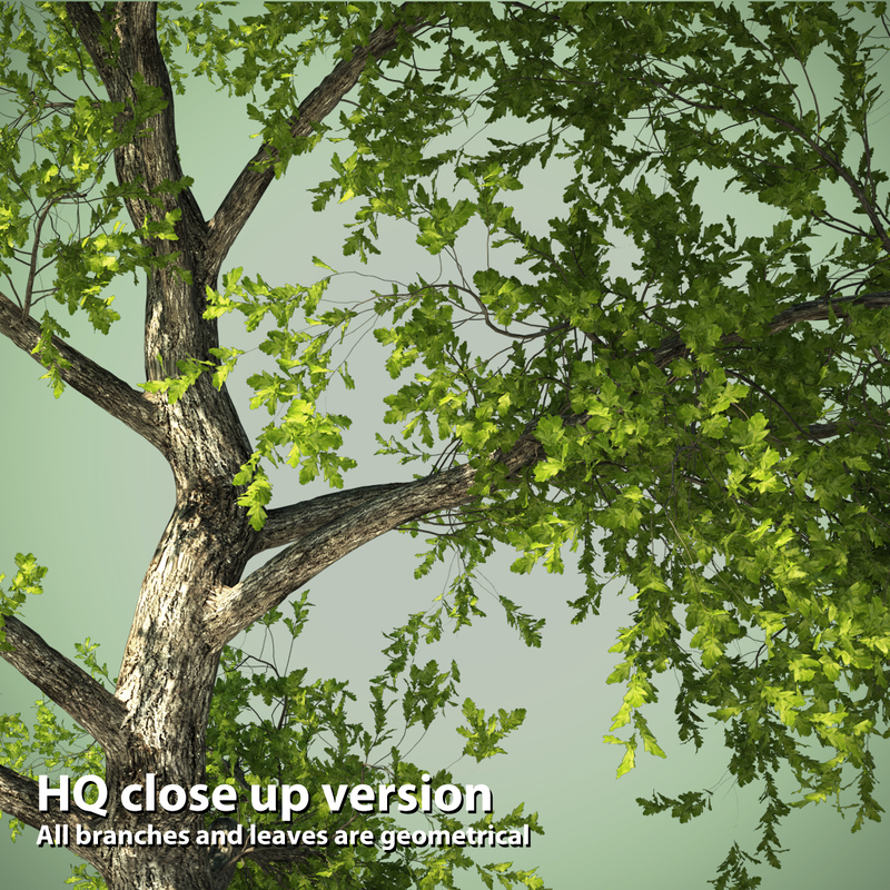 3d model oak tree hq