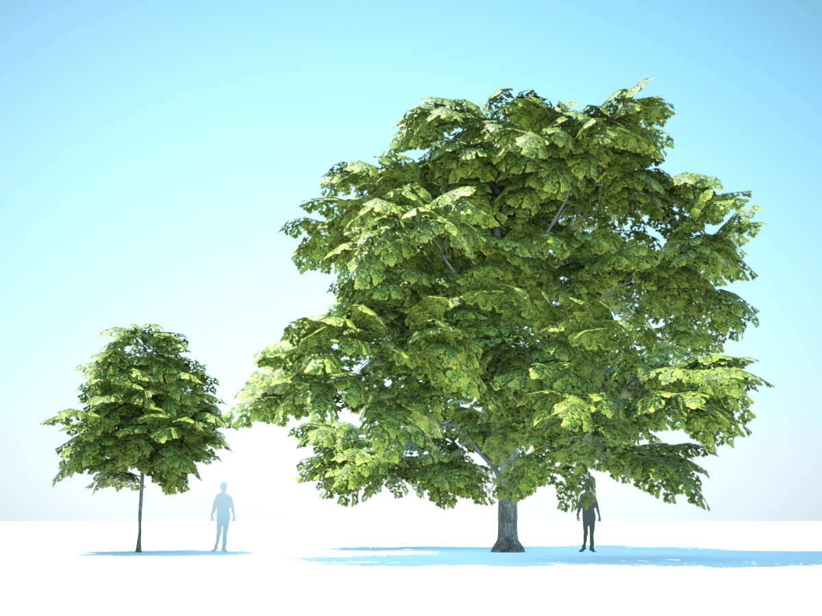 3d model trees 10