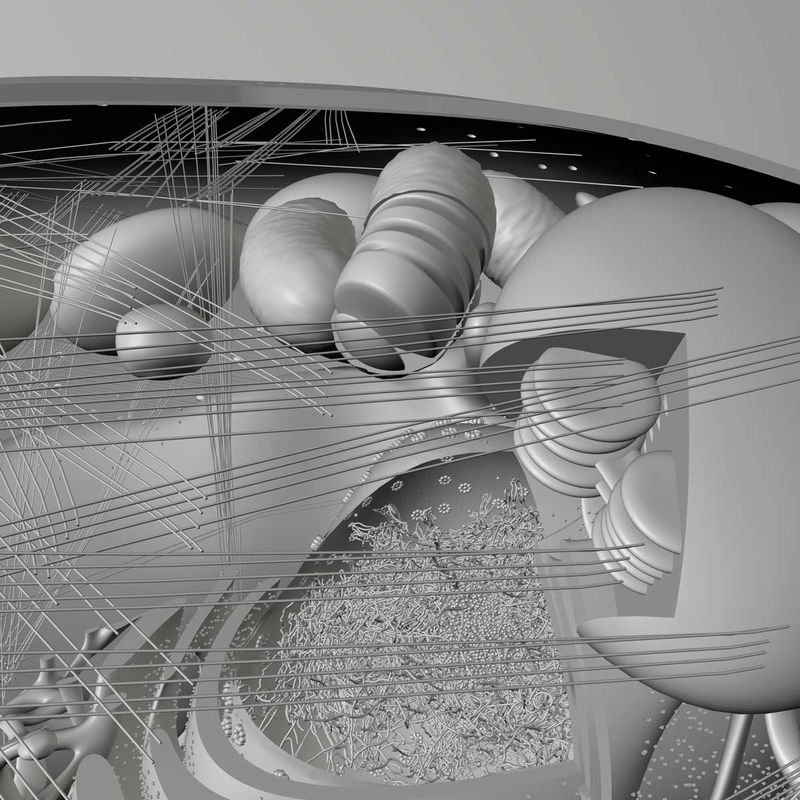 biological plant cell c4d