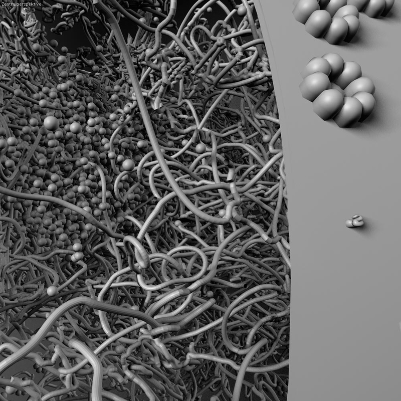 biological plant cell c4d