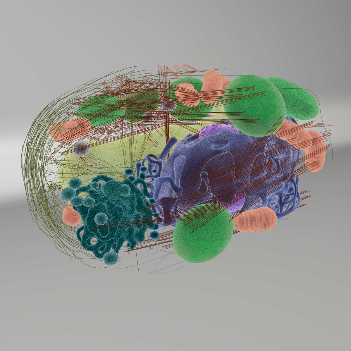 biological plant cell c4d