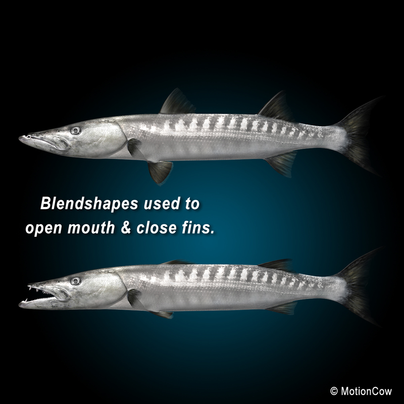 realistic barracuda fish 3d lwo