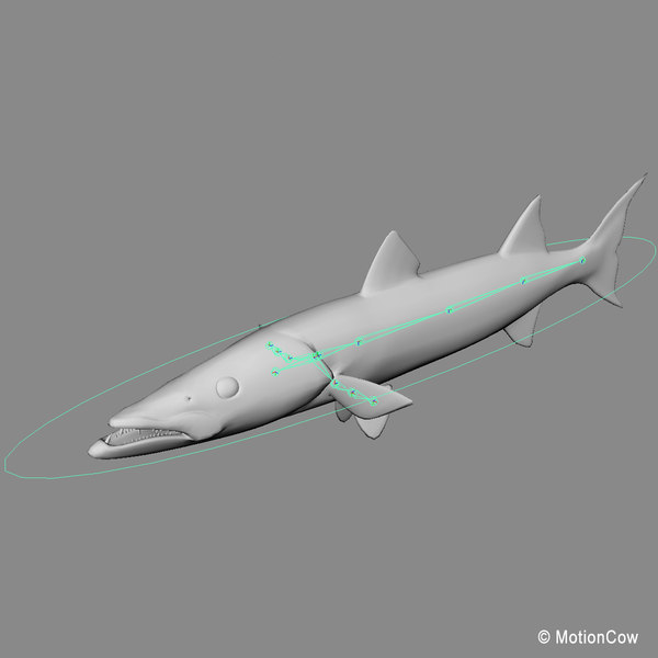 realistic barracuda fish 3d lwo