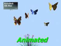 butterfly 3D Models | TurboSquid.com