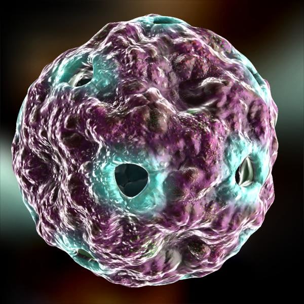 grapevine fanleaf virus 3d model