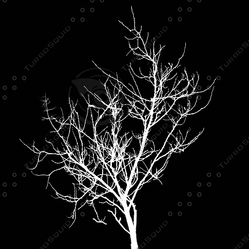 free tree branch 3d model