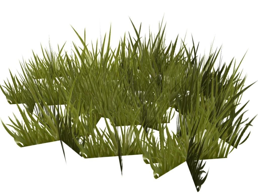 grass 3d max