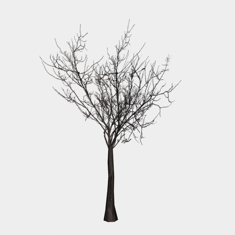 free tree branch 3d model