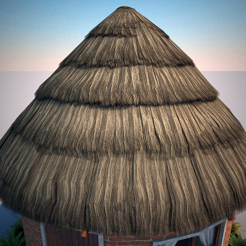 3d thatch roofed house