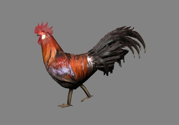 x ready chicken animations rooster