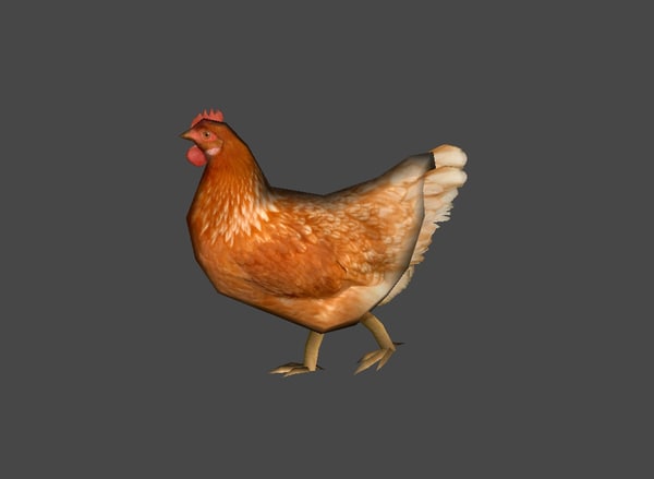 x ready chicken animations rooster