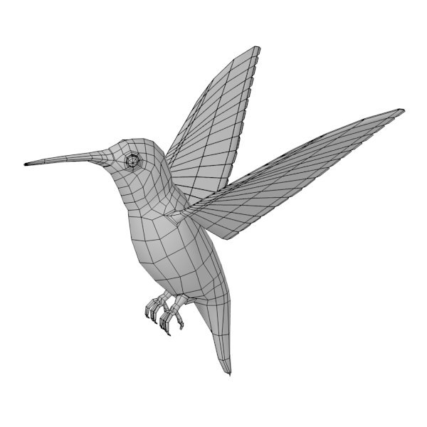3d colibri birds rigged model