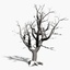 3d scanline winter deciduous tree