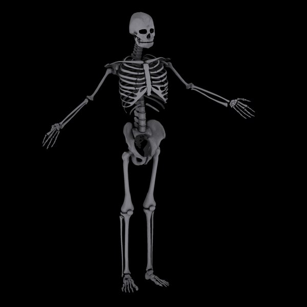 x-ray skeleton xray body human obj