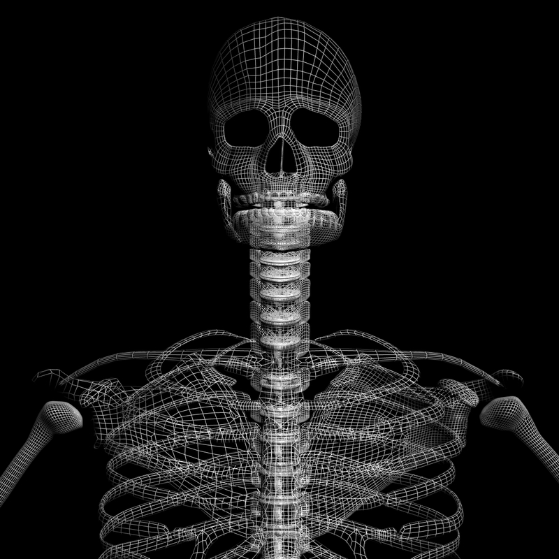 x-ray skeleton xray body human obj